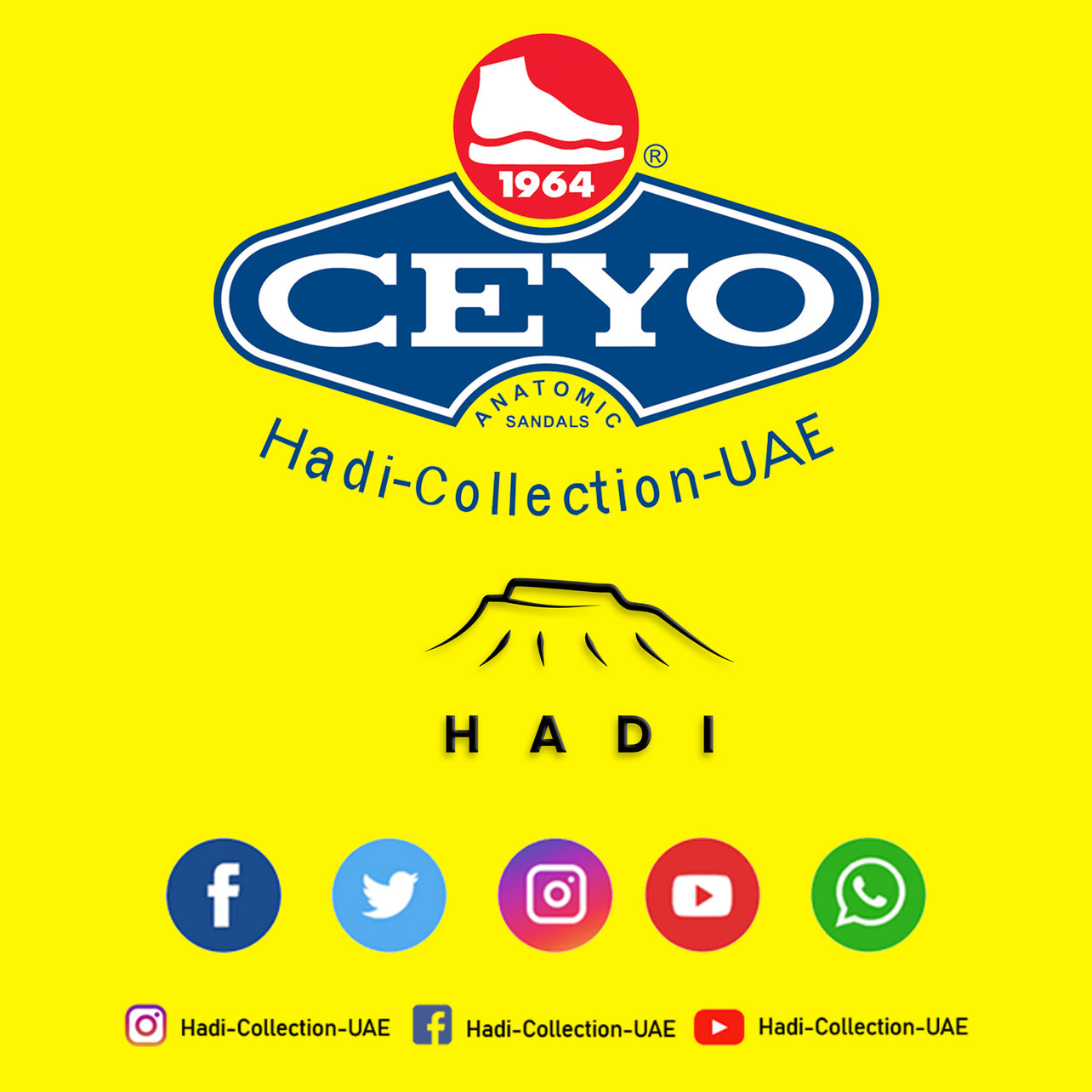 CEYO-HADI is a brand from Crystal Eyes Trading located in Naif Deira ...